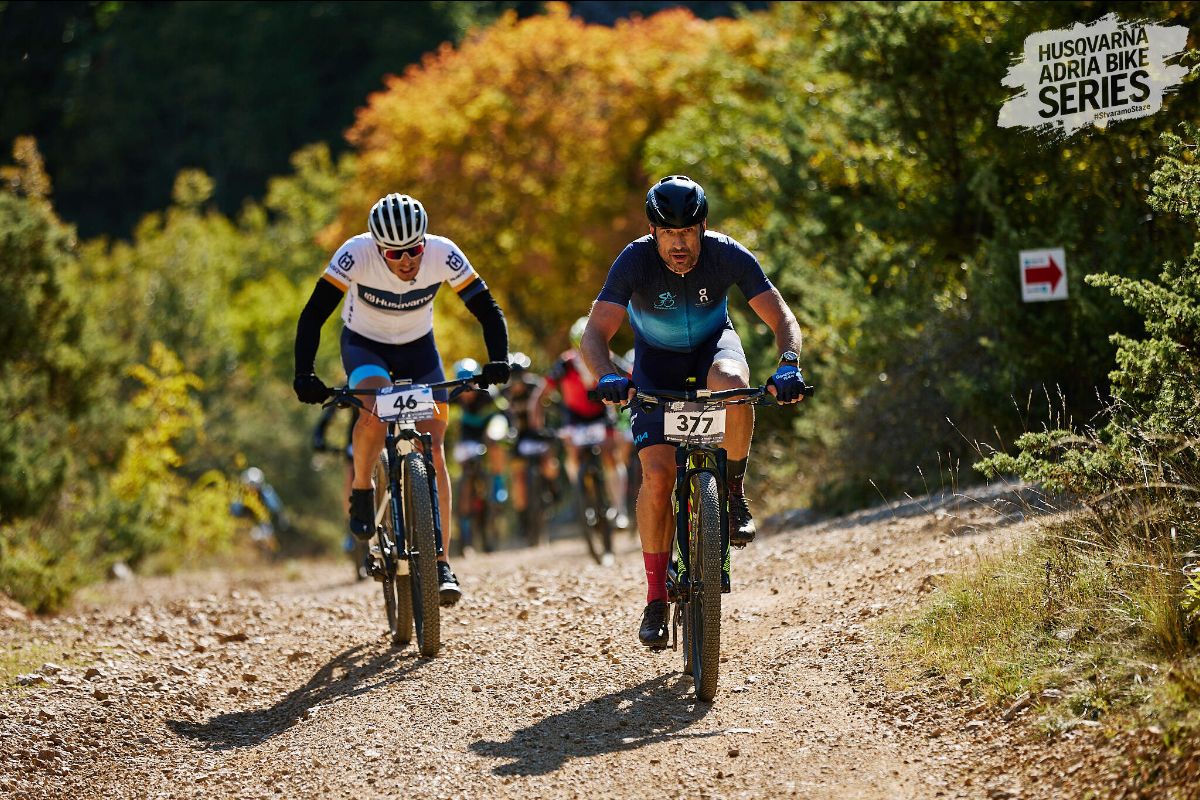 Bike Tribe | Mtb Team | …for brave bikers only!