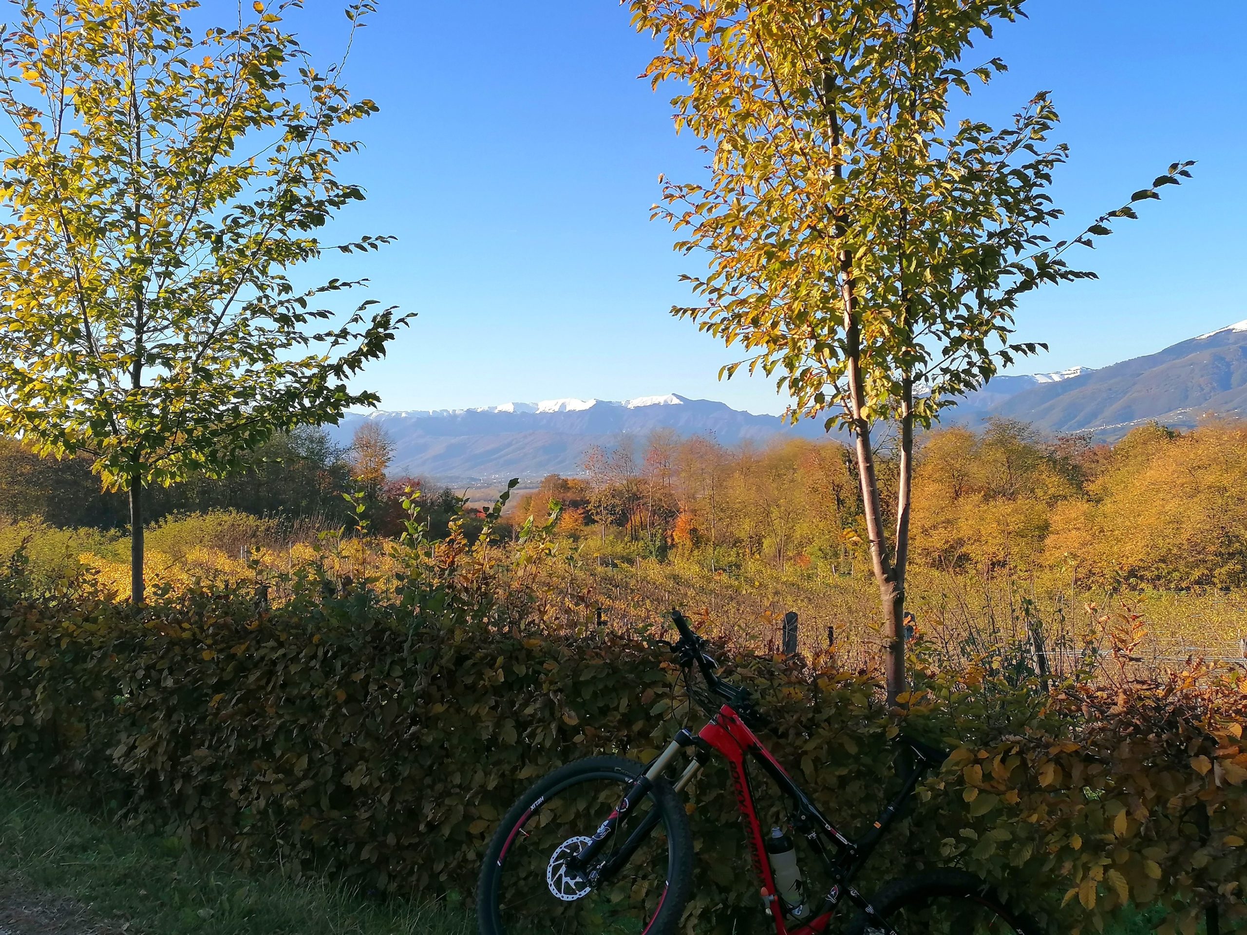 Bike Tribe | Mtb Team | …for brave bikers only!